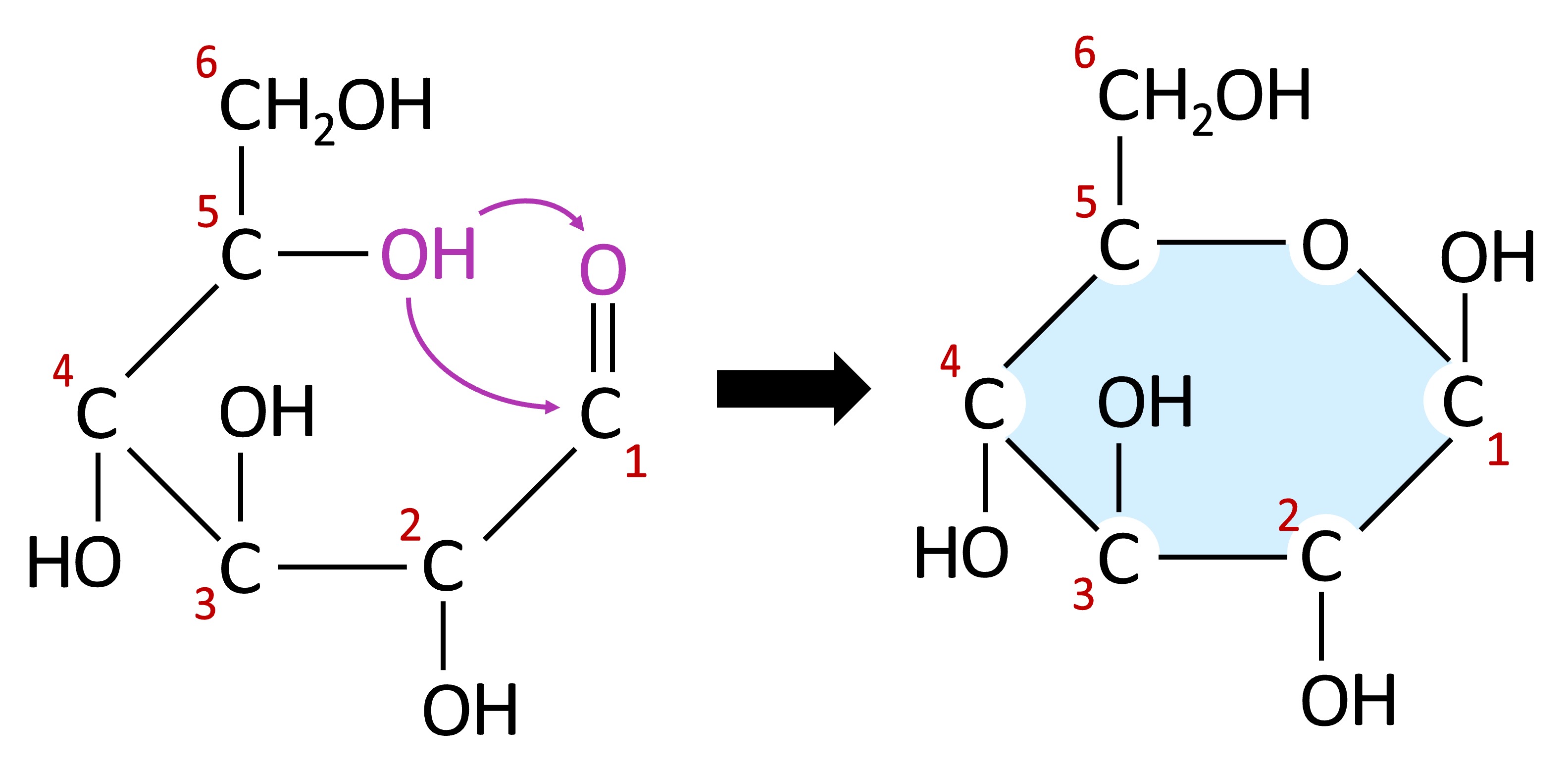 Monosaccharides Monosaccharides